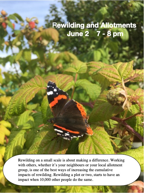 Rewilding event poster 2 June 2022 – Glasgow Allotments Forum